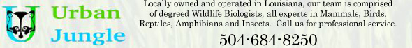 Mandeville Wildlife Removal, Pest Animal Control LA - Urban Jungle ...